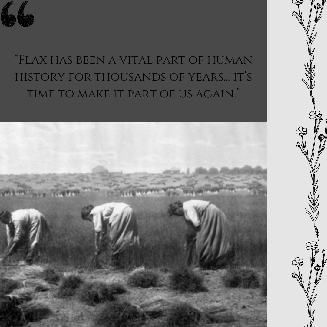 Uncovering the Motivation Behind my Flax Habit: A Dig into the History ...